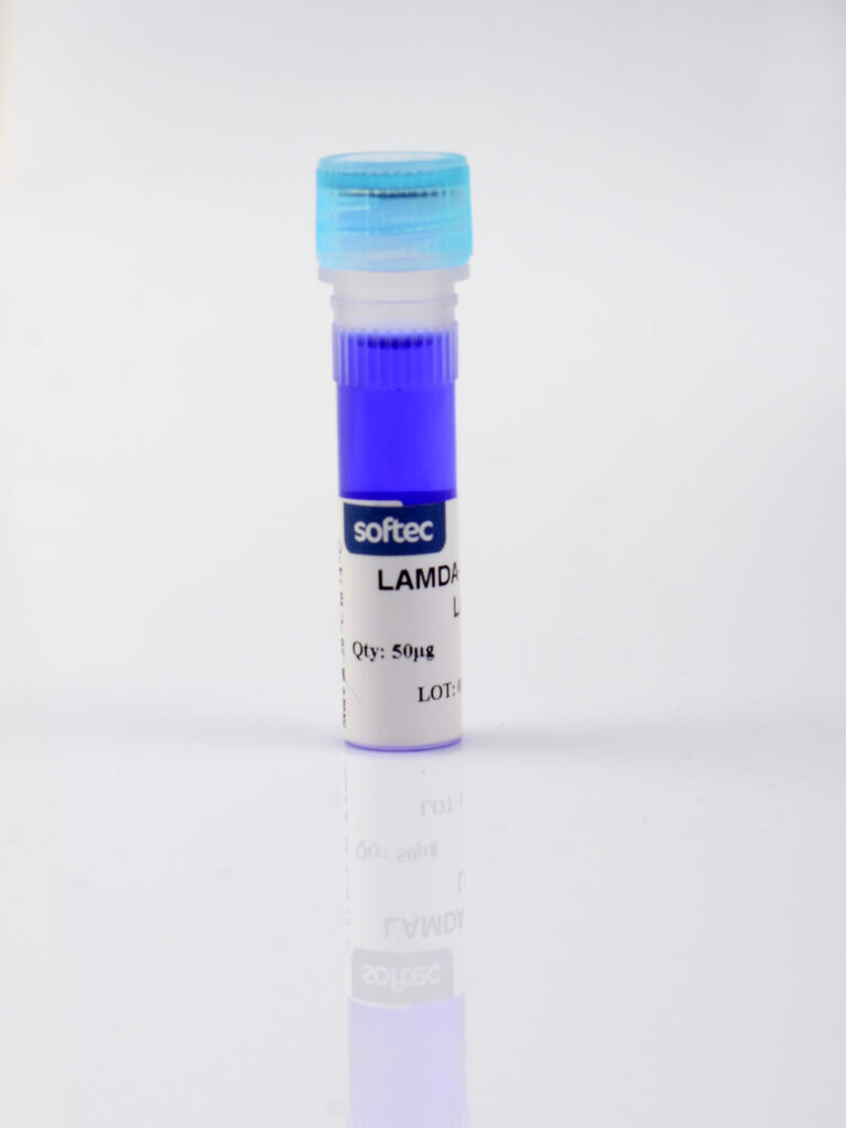 LAMBDA-HINDIII DNA LADDER – ZET MEDİKAL